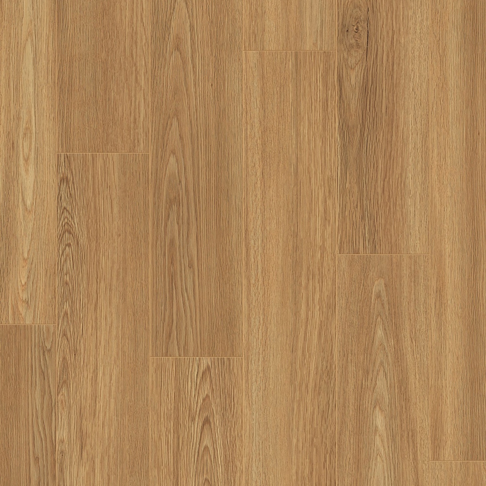 Roble Café AC5 con Bisel con Bisel de la colección Disfloor 8 mm - Decobraz